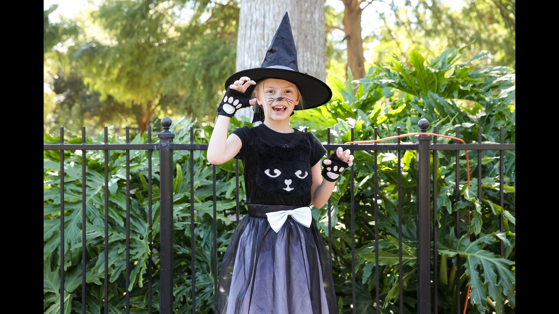 San Antonio Zoo's Halloween event Zoo Boo! starts today | kens5.com