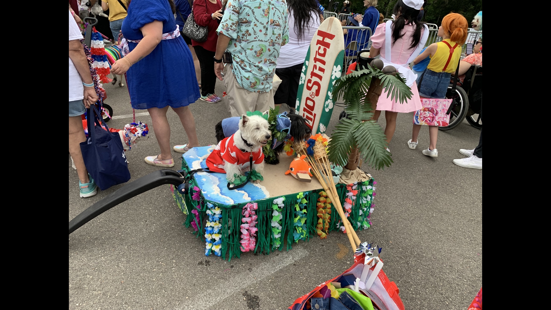 The only parade for our four-legged friends | Fiesta Pooch Parade ...