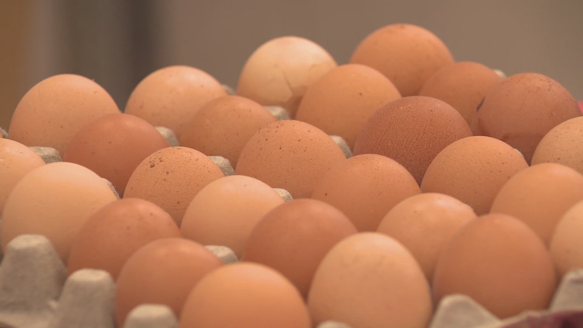 Bird Flu causing havoc on egg industry and local businesses, feeling ...