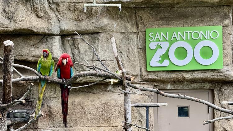 San Antonio Zoo offers $8 Locals Day to residents on Mother's Day ...