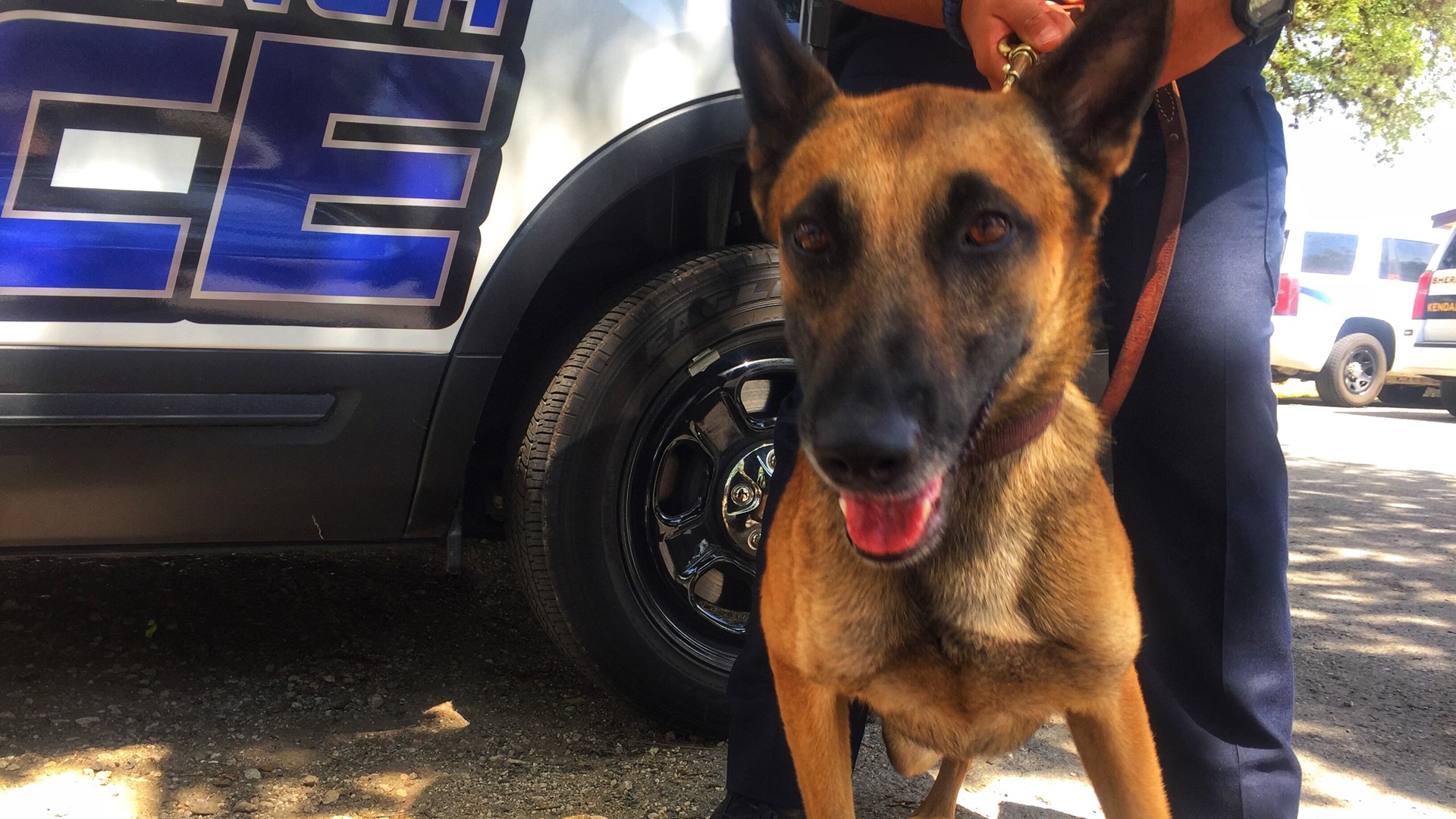 Fair Oaks Ranch Police Department hires K9 Buddy | kens5.com