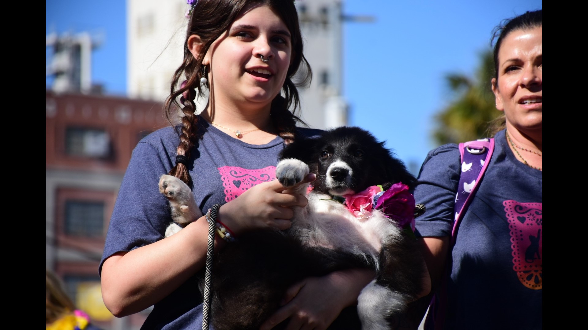 King William Fair: Popular Fiesta event returns Saturday | kens5.com