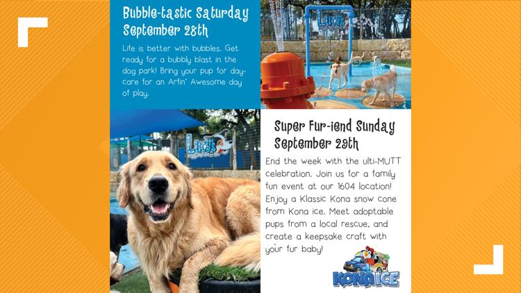Celebrate National Dog Week with Lucy's Doggy Daycare and Spa | kens5.com