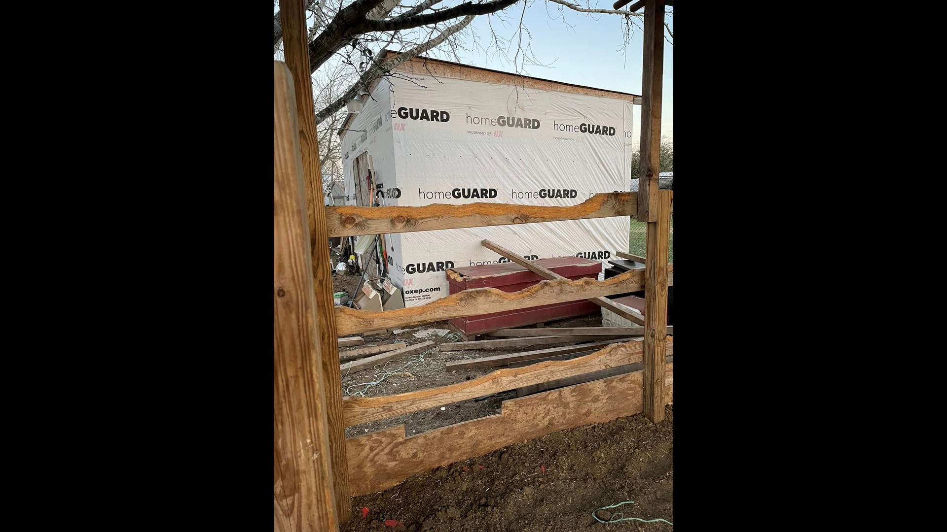 Horses rescued from deplorabel conditions, no food or water | kens5.com