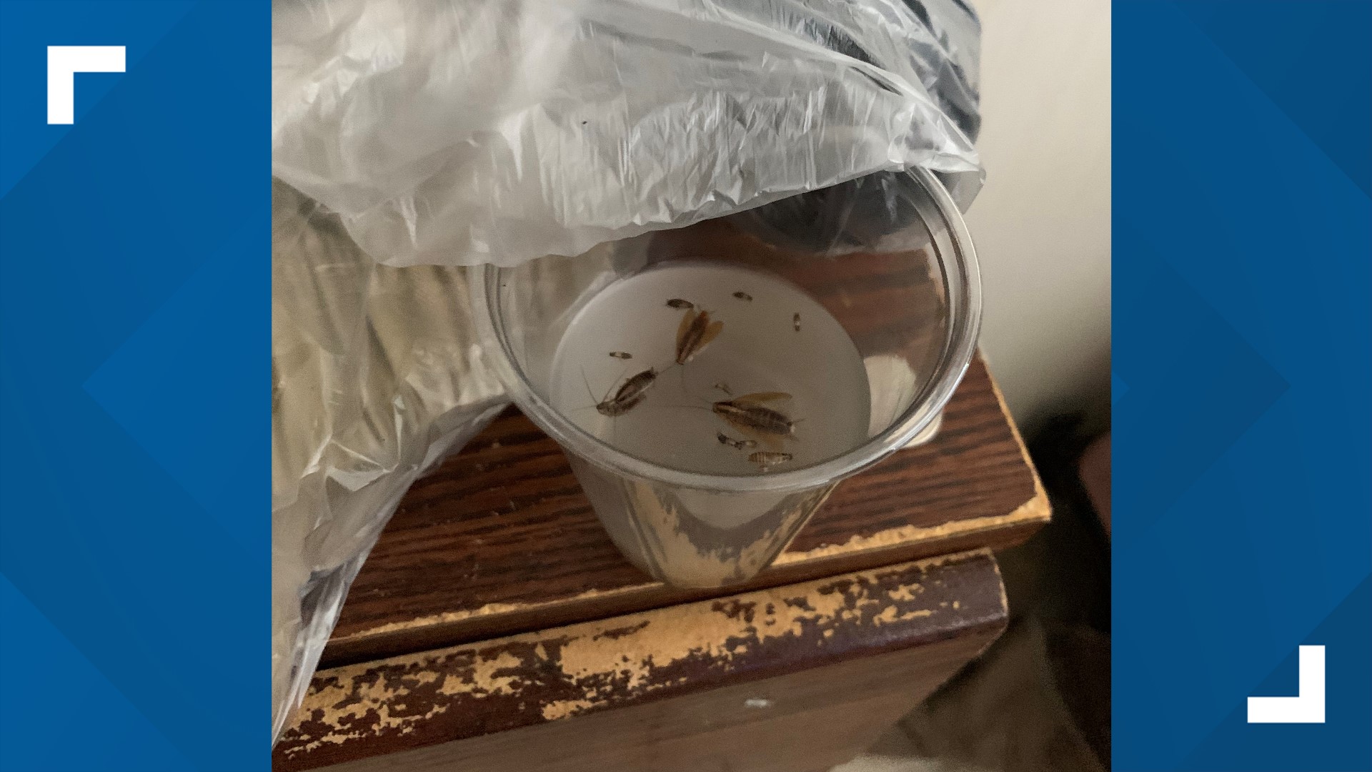 'Rage is the easiest way I can explain it' | San Antonio man finds ...