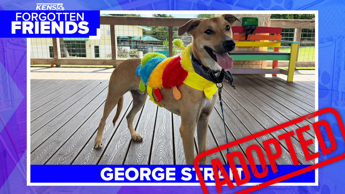 George Strait has waited for his own home for 484 days | kens5.com