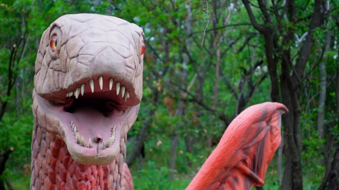 What to expect at the San Antonio Zoo's Dragon Forest | kens5.com