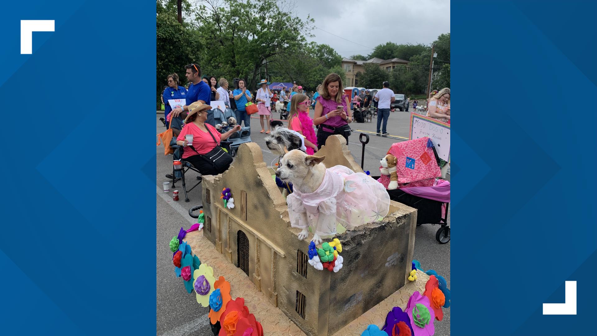 The only parade for our four-legged friends | Fiesta Pooch Parade ...