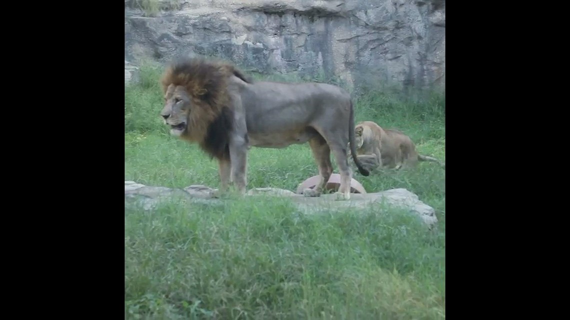 WEATHER MINDS with Stacia Willson: Take cover in lightning storms ...