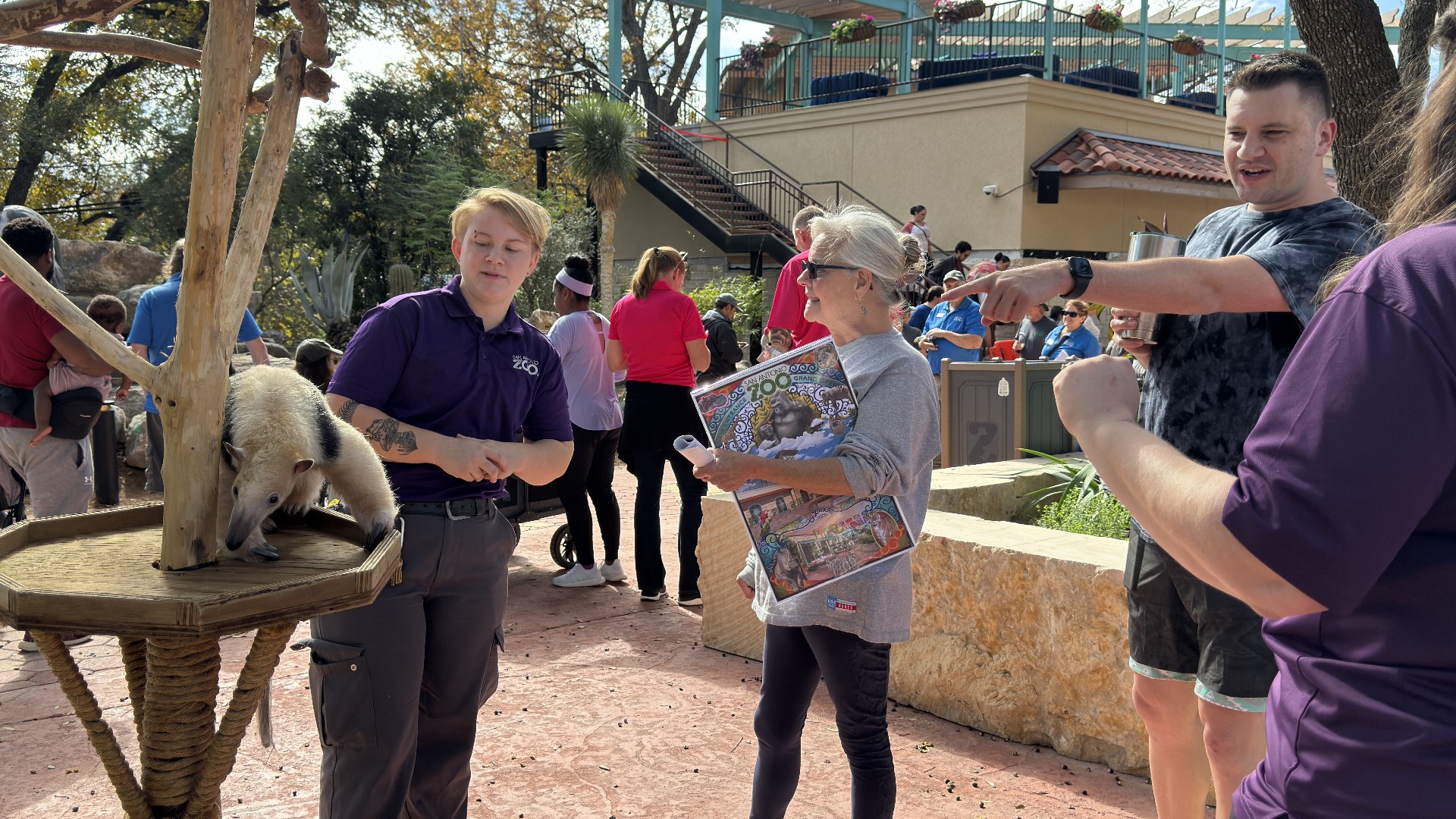 Spring Break in full effect with 'Jungle Boogie Break' at San Antonio ...