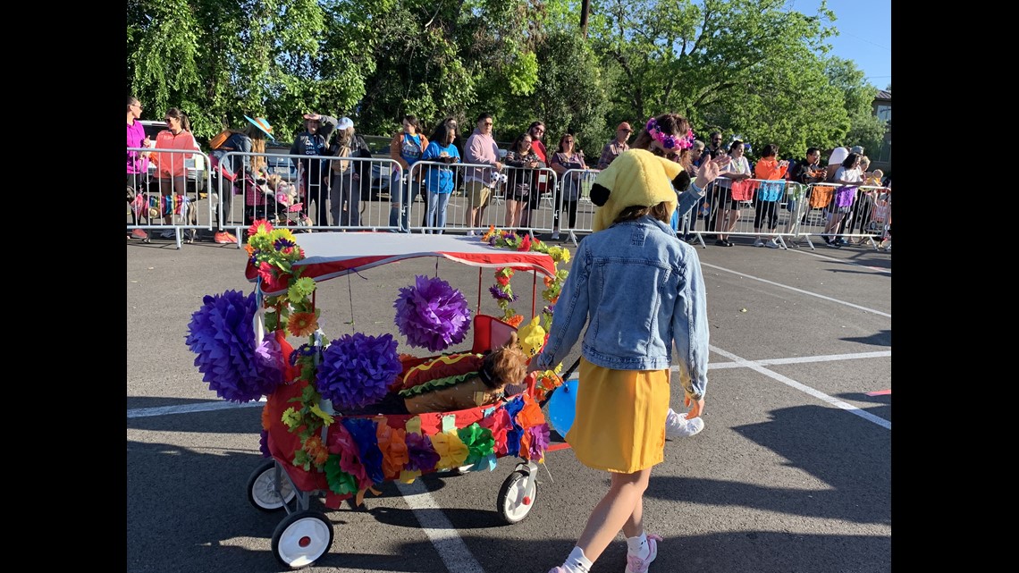 Fiesta Pooch Parade: The only parade for our four-legged friends ...