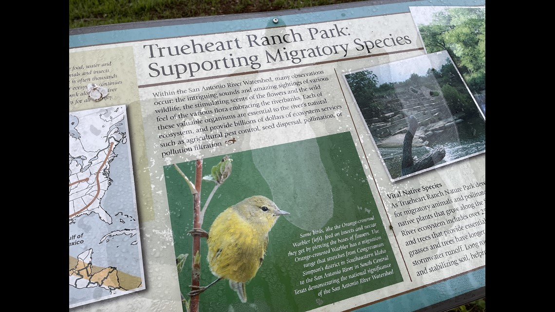 Historic Trueheart Ranch in south Bexar County now a public nature park ...