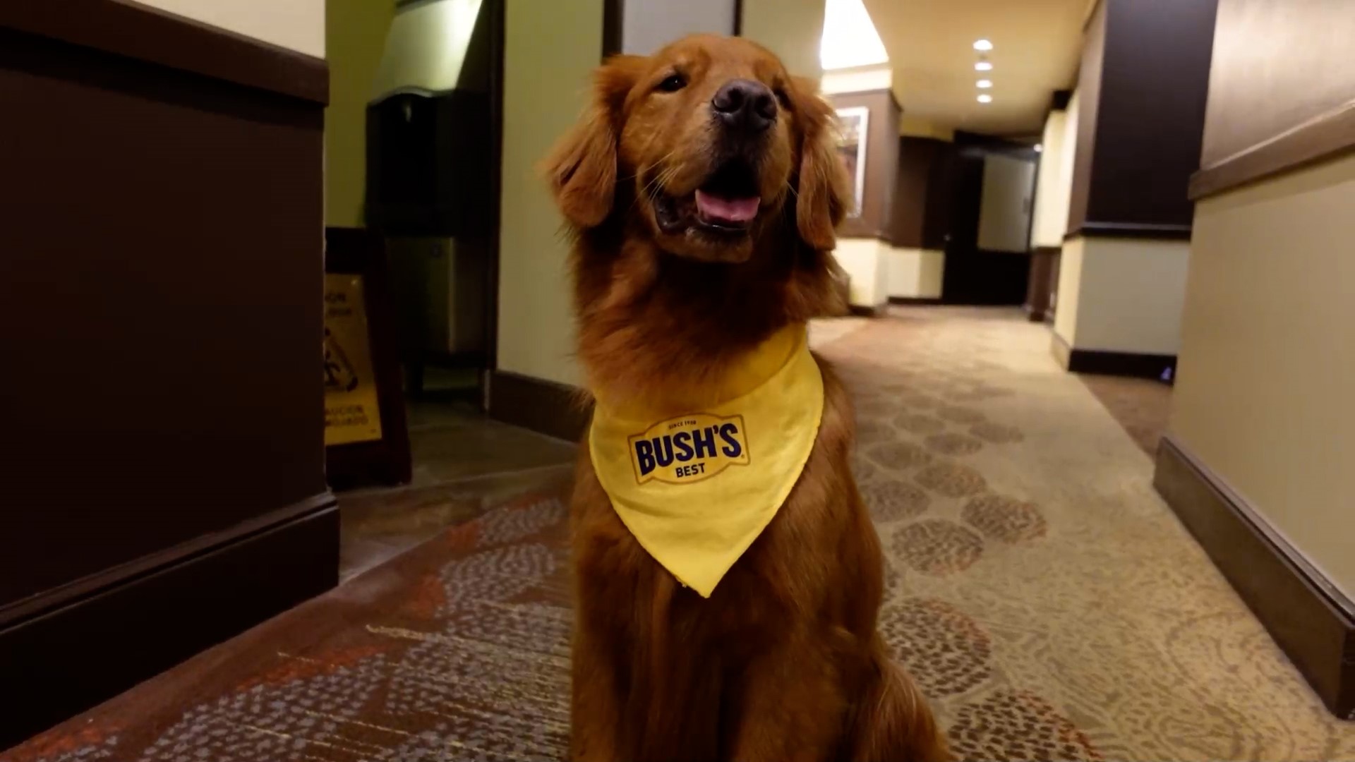 Duke from BUSH's Beans comes to San Antonio | kens5.com