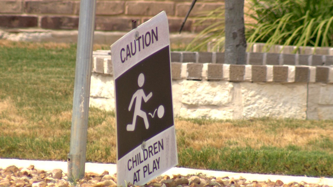 Latest dog mauling reignites conversations about pet owner ...