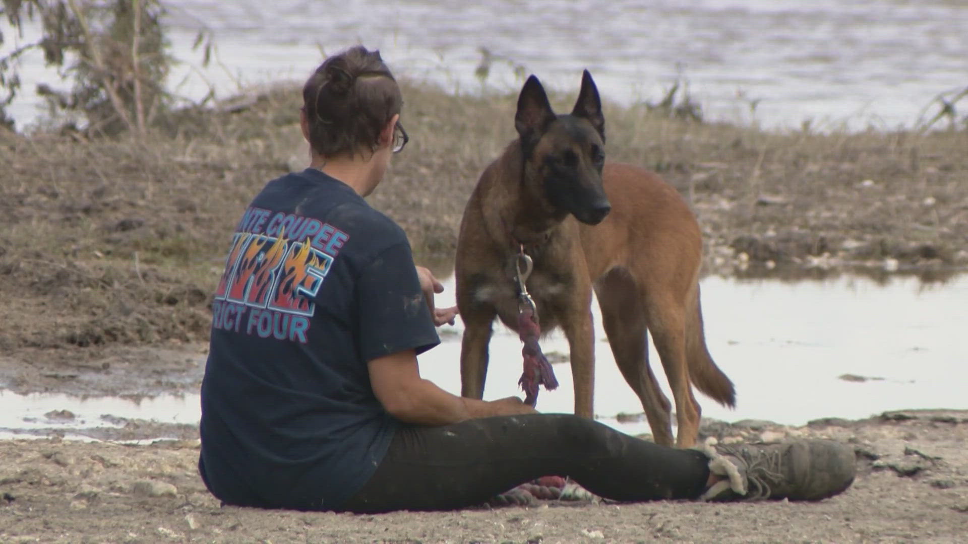 Cadaver dogs boosting flood search efforts in Kerr County | kens5.com