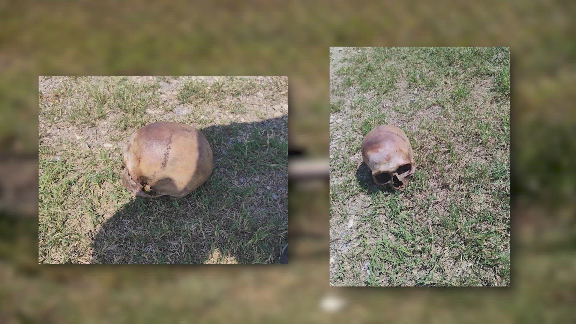 Texas worker discovers human skull outside plumbing business in San ...