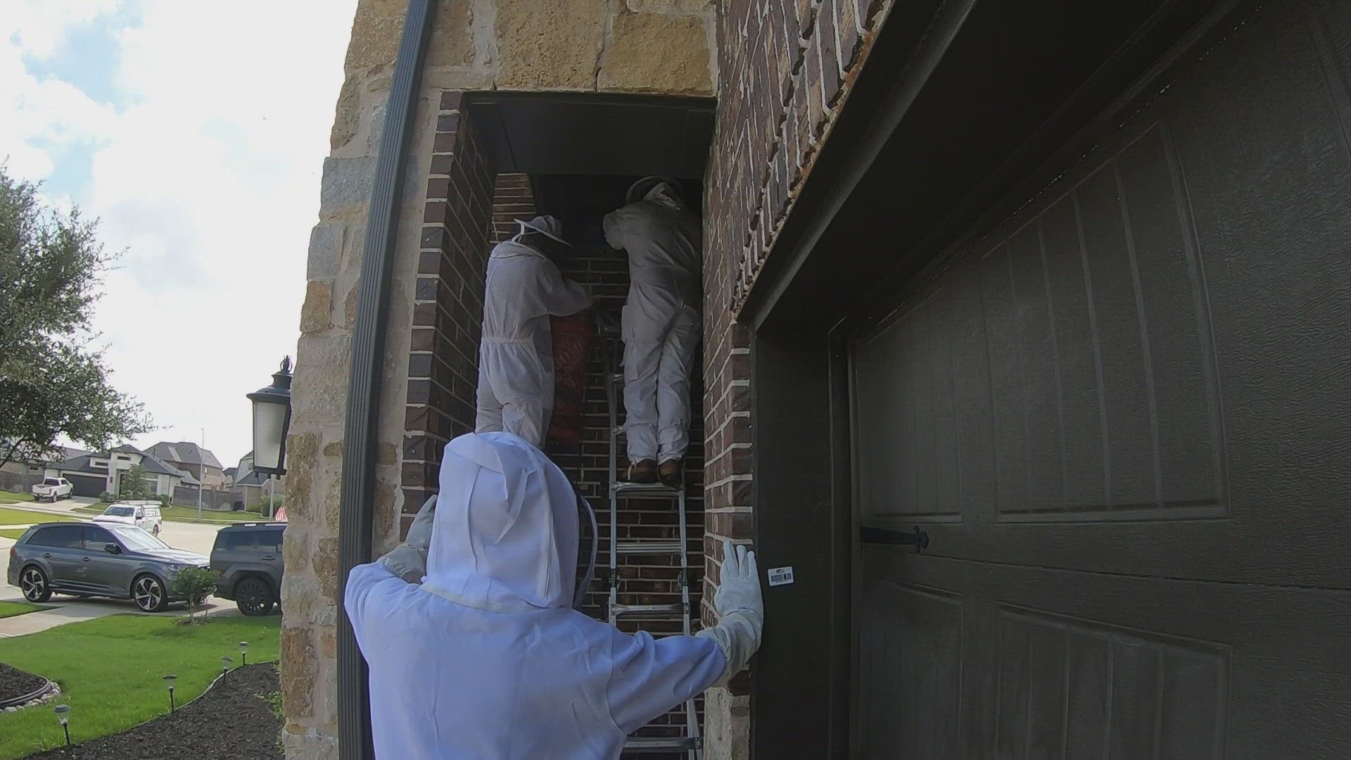 Bees removed from walls of Houston-area home after homeowner chased by ...
