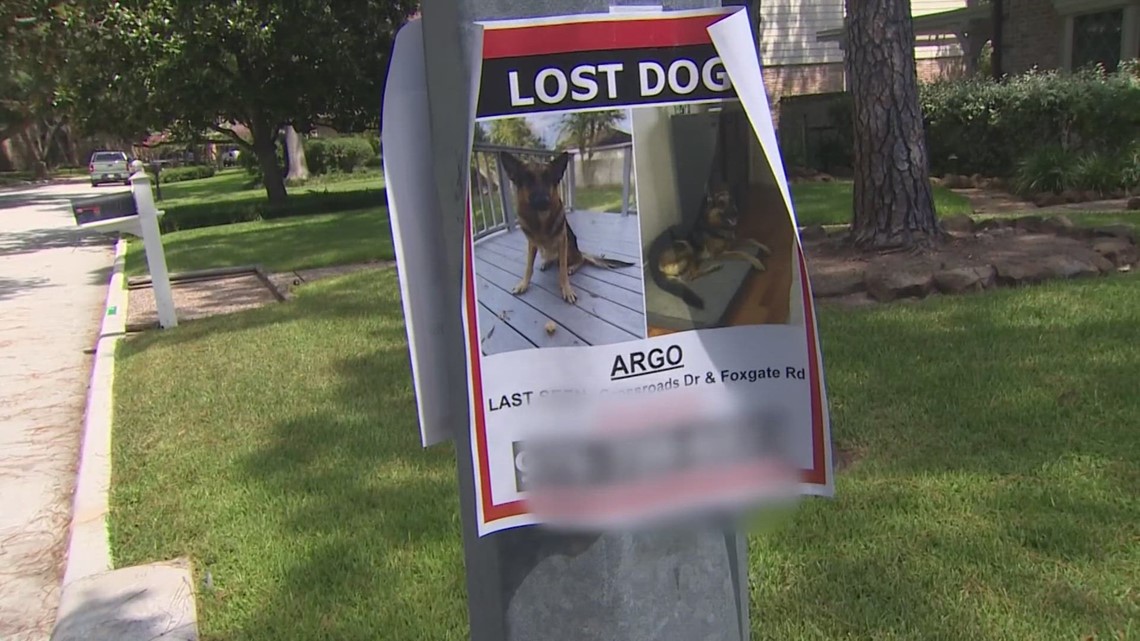 Houston dog missing after leaving it with sitter | kens5.com