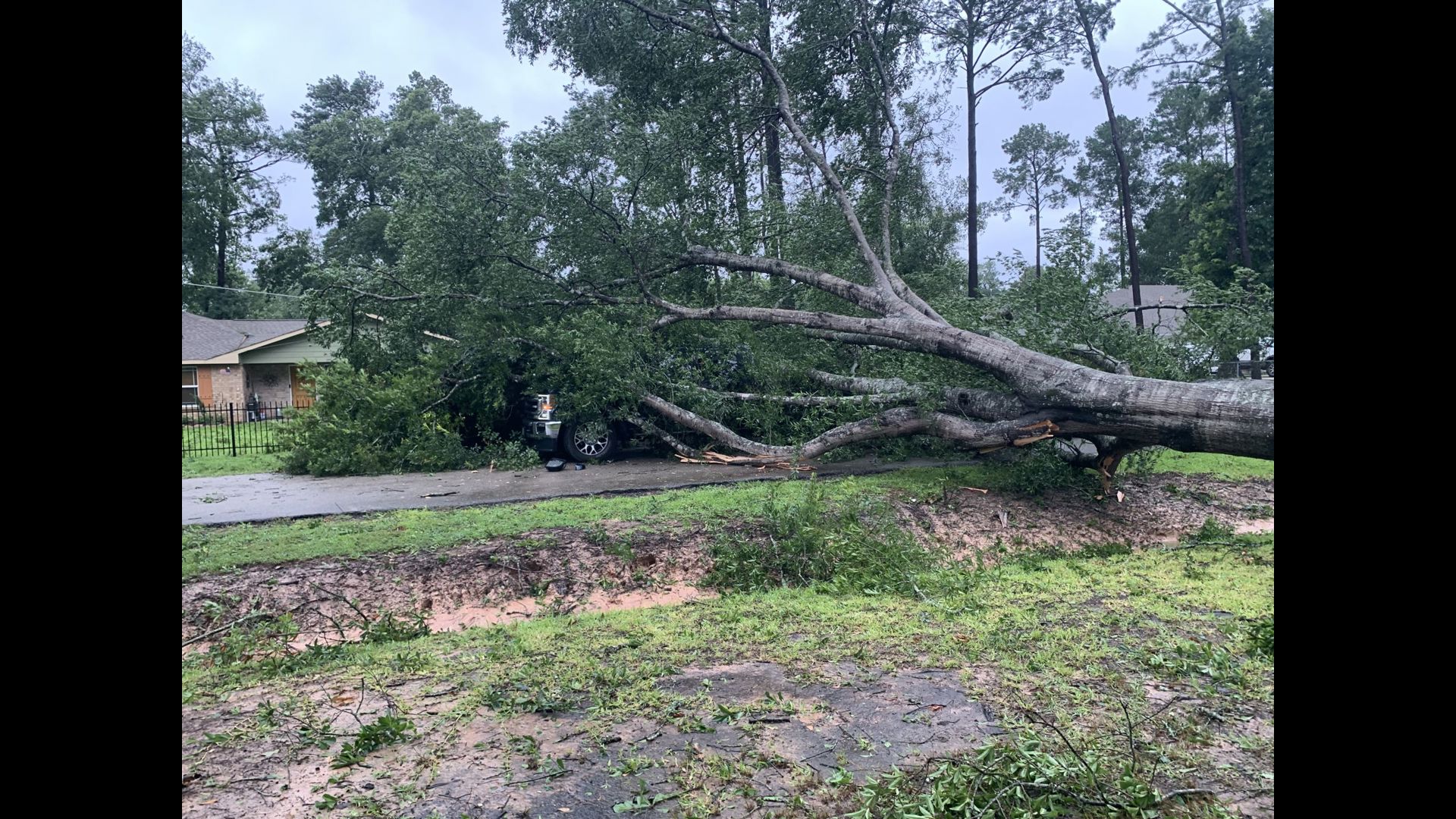 Hurricane Beryl aftermath: Photos and videos | kens5.com
