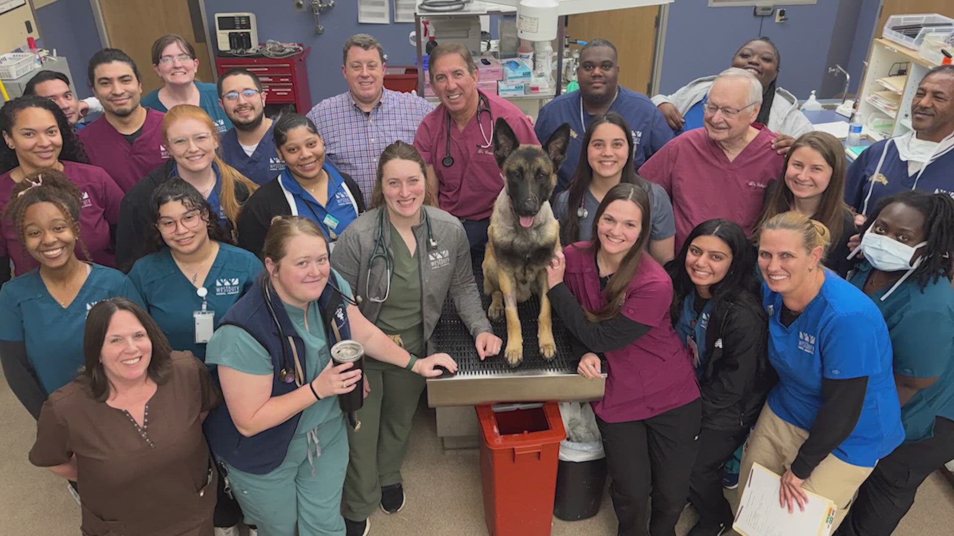 K-9 dog in manhunt is released from the hospital | kens5.com