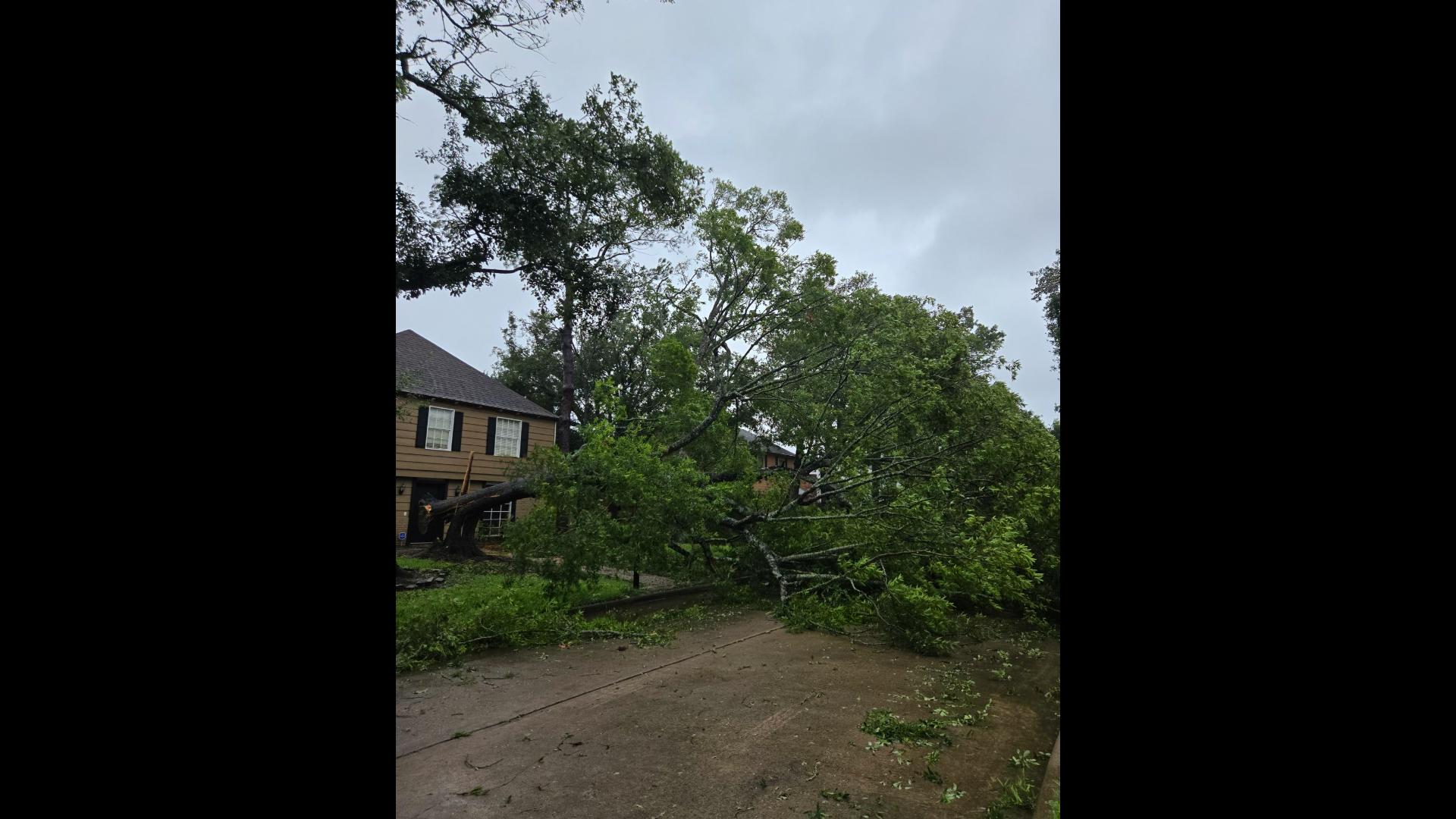 Hurricane Beryl aftermath: Photos and videos | kens5.com