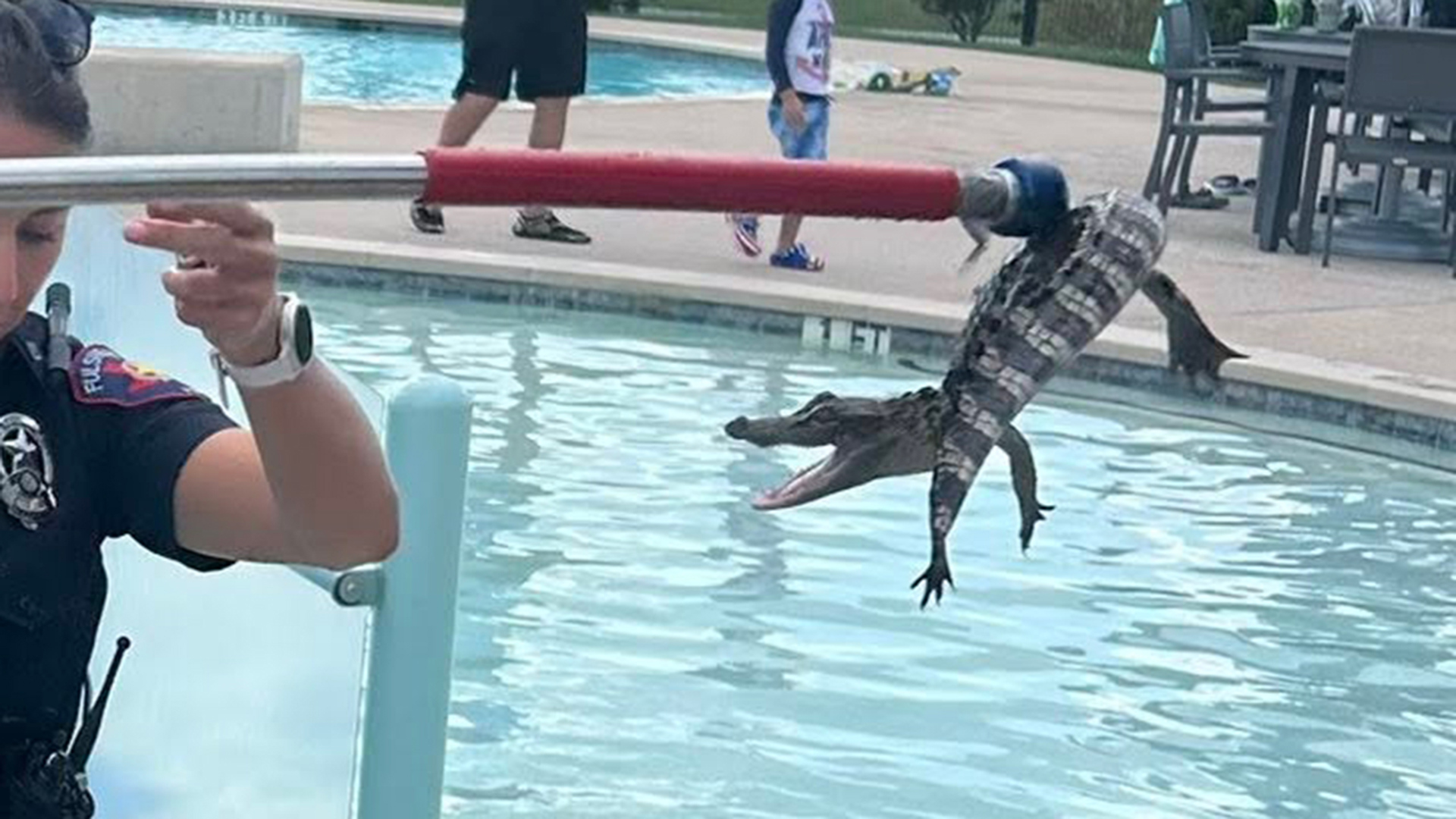 Fulshear Police Remove Gator From Cross Creek Ranch Community Pool