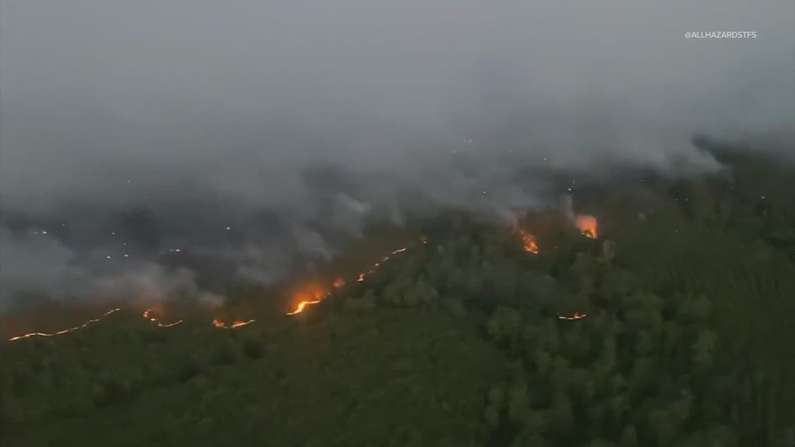 Texas wildfire updates: Nelson Creek Fire burns near Huntsville | kens5.com