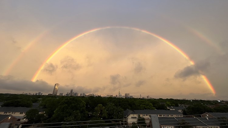 New butterfly garden opens at Yanaguana Gardens at Hemisfair Park ...
