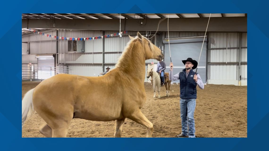 Double Dan Horsemanship performs for second year at San Angelo Rodeo ...