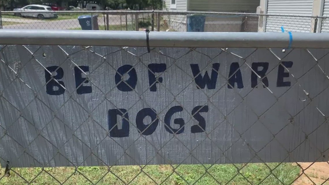 Rockport dog-mauling victim's parents sue canines' owners for $1M ...