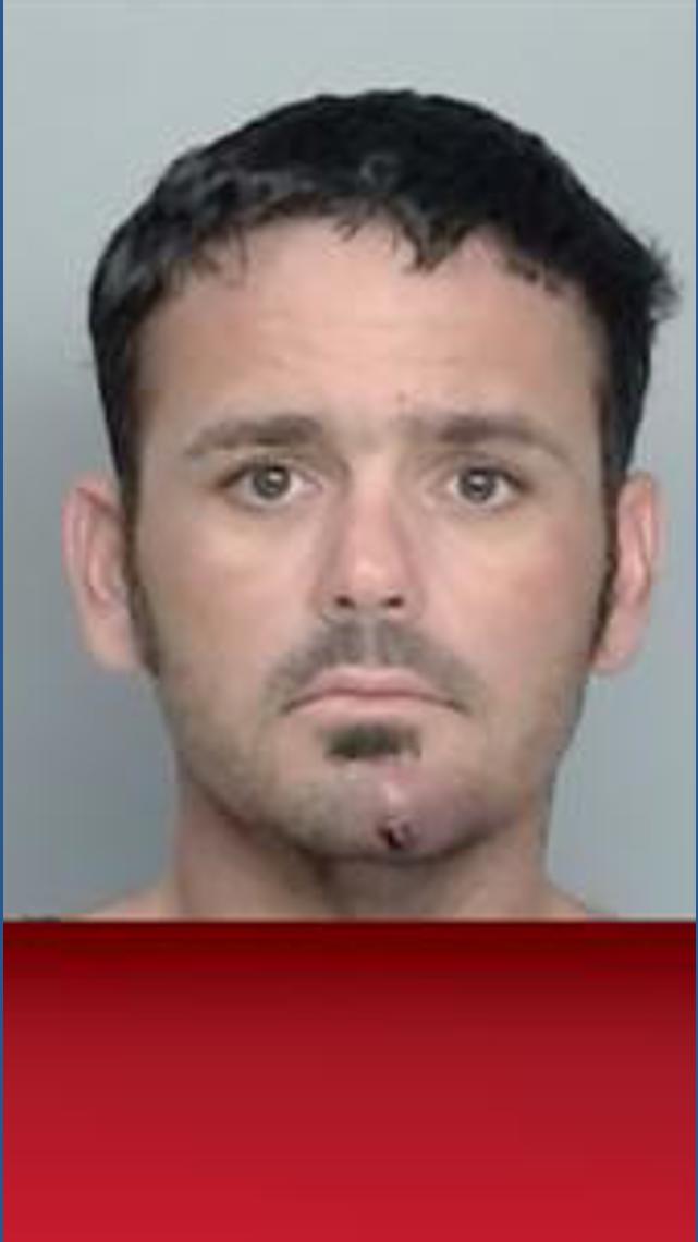 Suspended Little Miss kickball coach arrested, accused of grooming ...