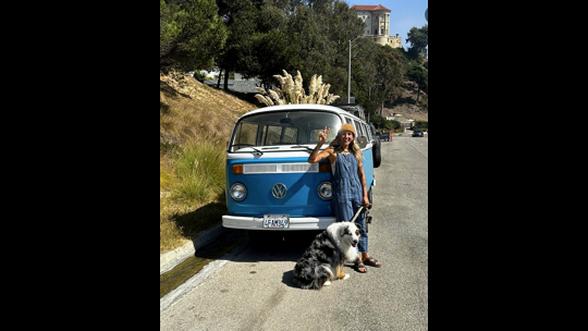 Retro blue VW van miraculously survives deadly Los Angeles fires ...