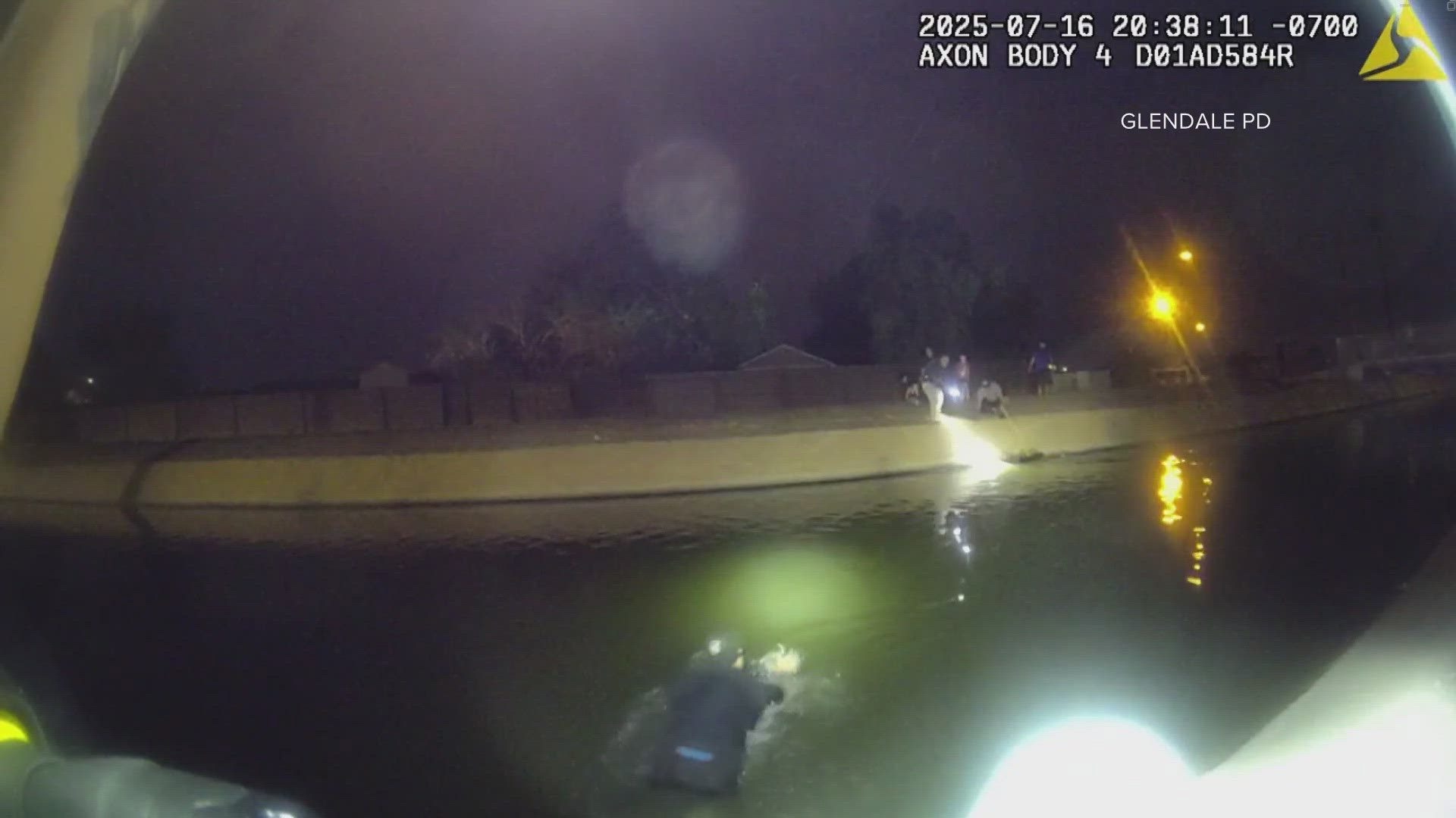 Glendale officer rescues dog from canal | kens5.com