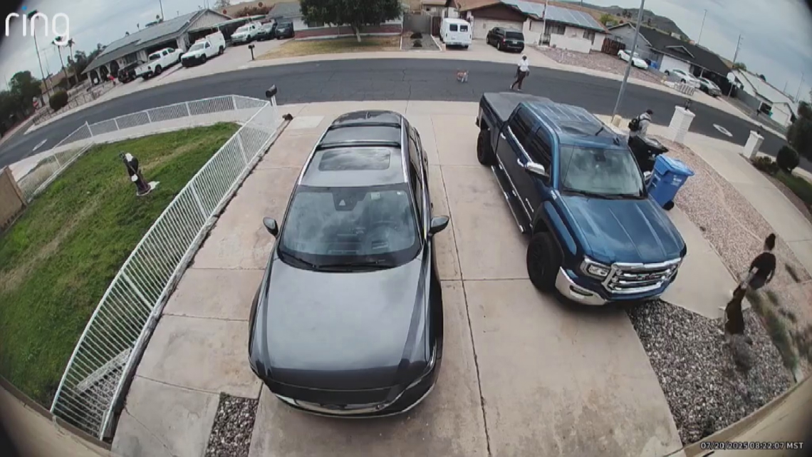 Video footage shows dog being dragged from Phoenix backyard | kens5.com