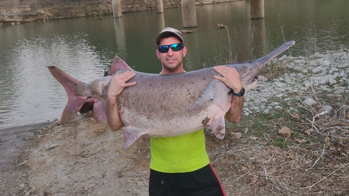 Arkansas man catches 102-lb prehistoric fish | kens5.com