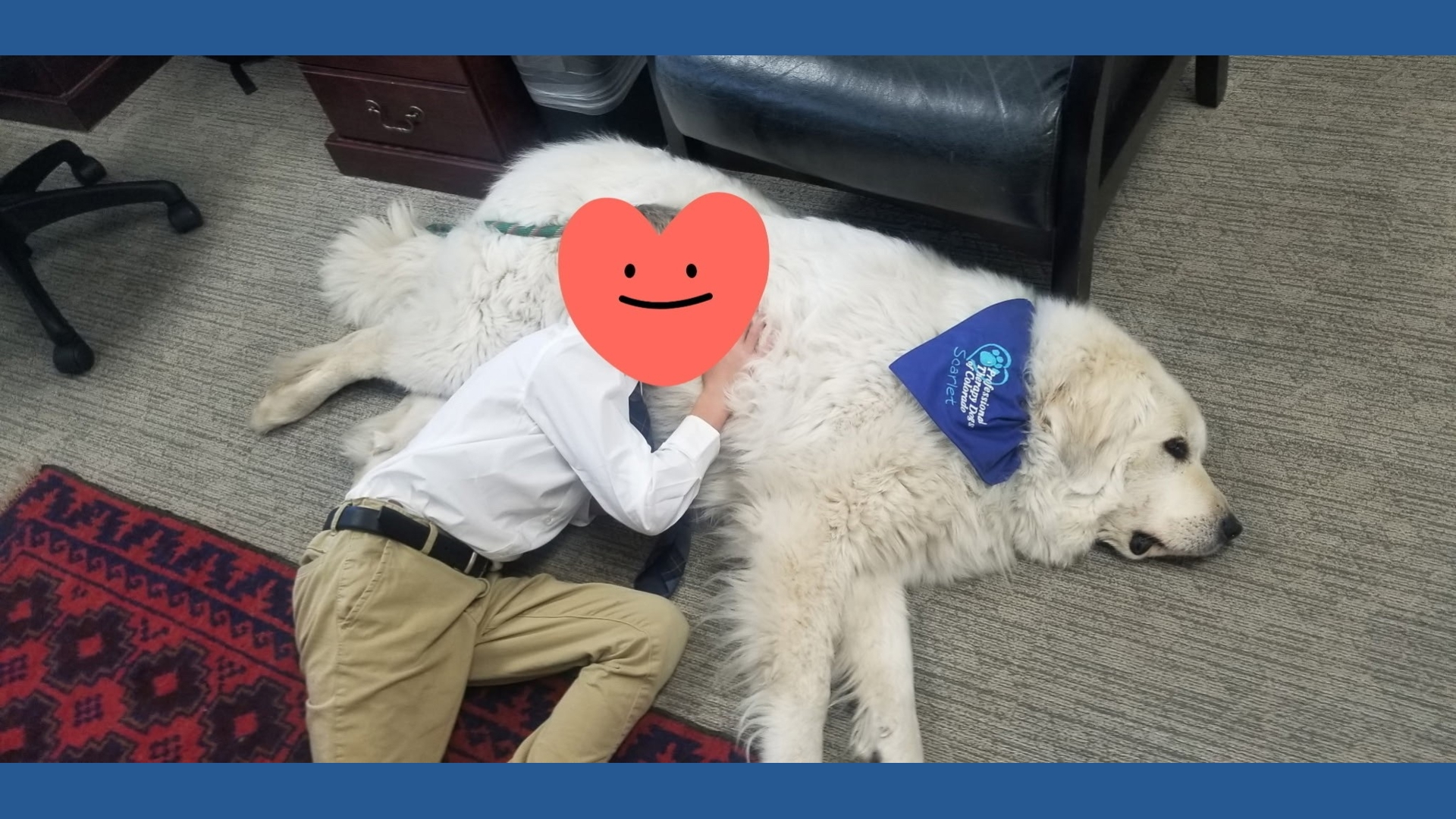 After 18 days, missing Evergreen therapy dog reunited with family ...