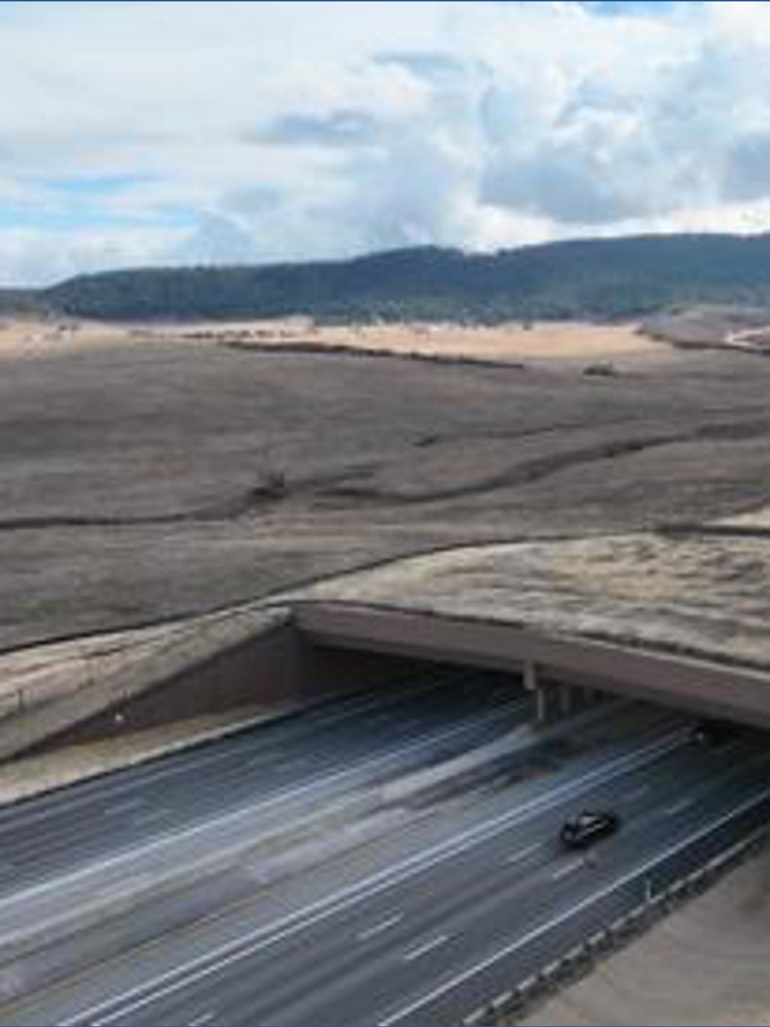 North America’s largest wildlife overpass completed in Colorado | kens5.com