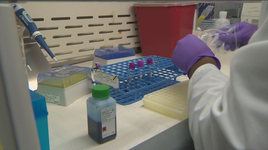 Texas researchers developing possible bird flu vaccine | kens5.com