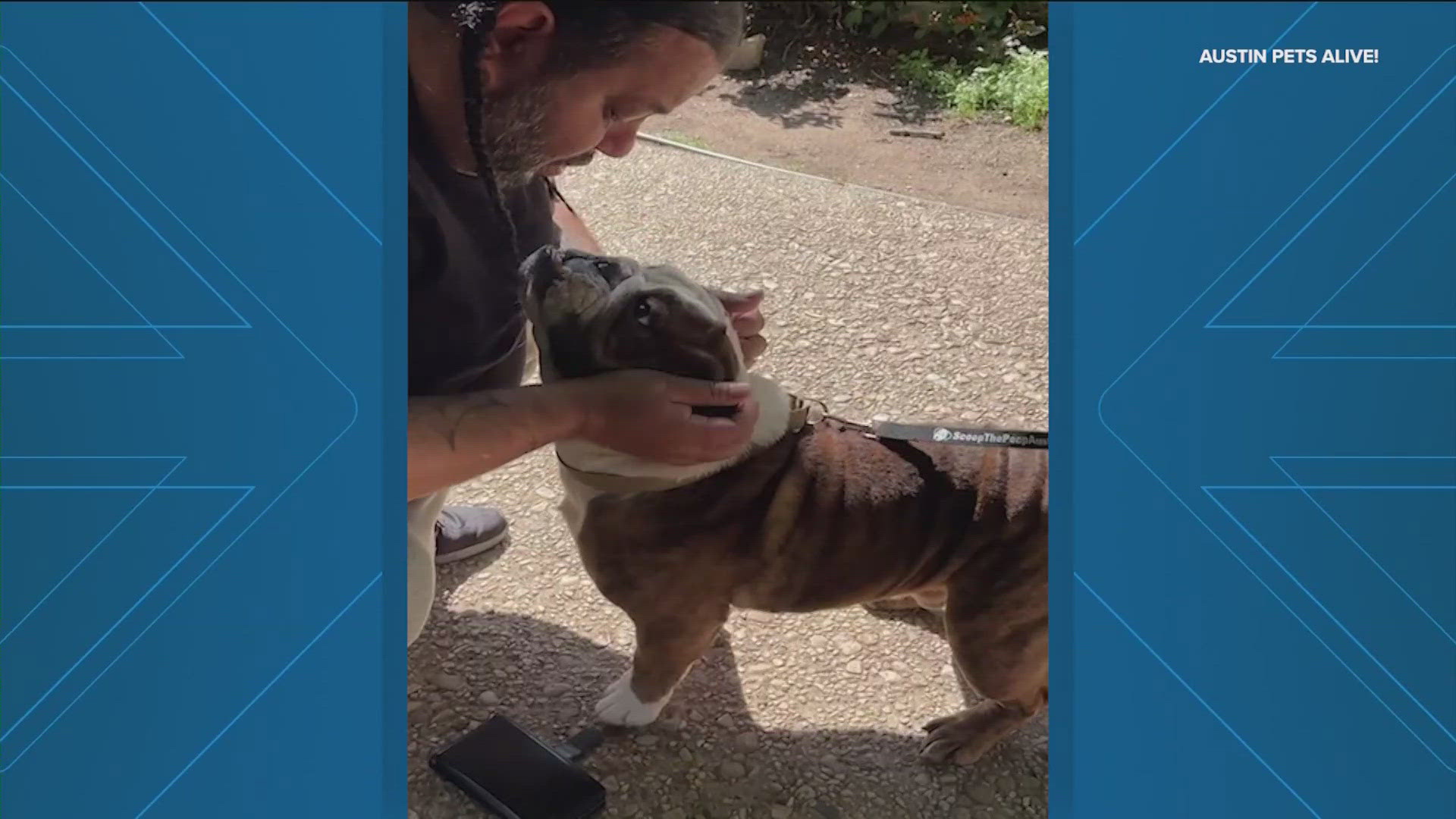 California dog reunited with family after 4 years | kens5.com