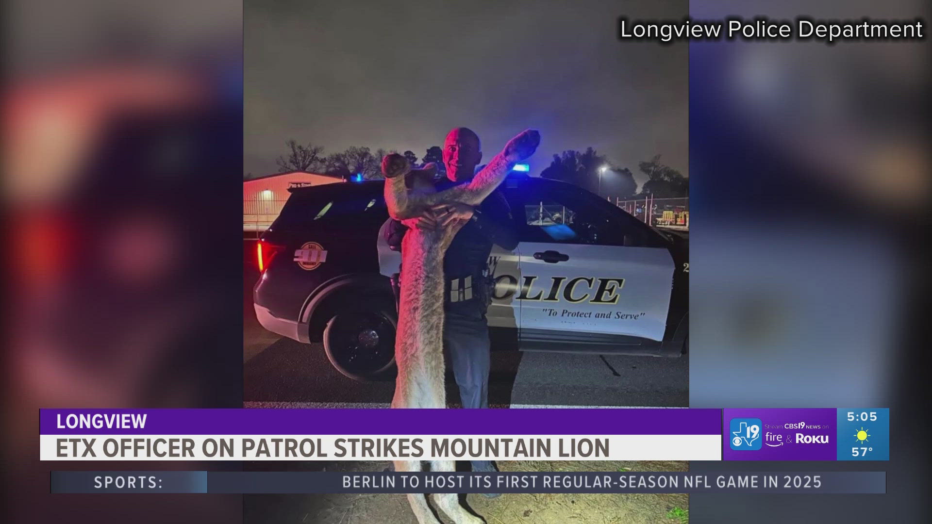 Texas police officer hits mountain lion while on patrol | kens5.com
