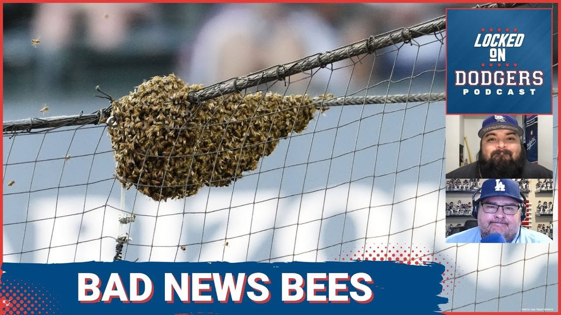 Los Angeles Dodgers Delayed By Bees, Done In By Cold Bats + Chris ...