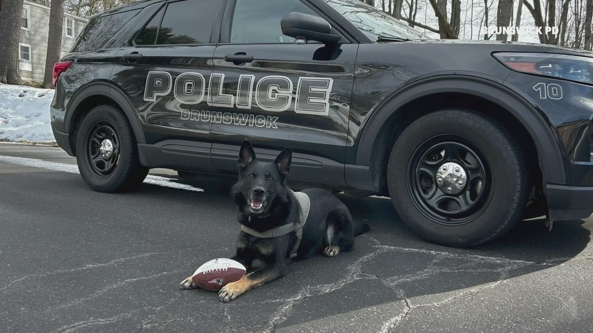 Taylor Swift inspires Brunswick police Super Bowl safety message ...