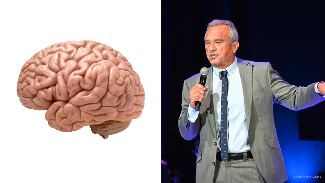 How does a worm get into your brain? Here’s what to know | kens5.com
