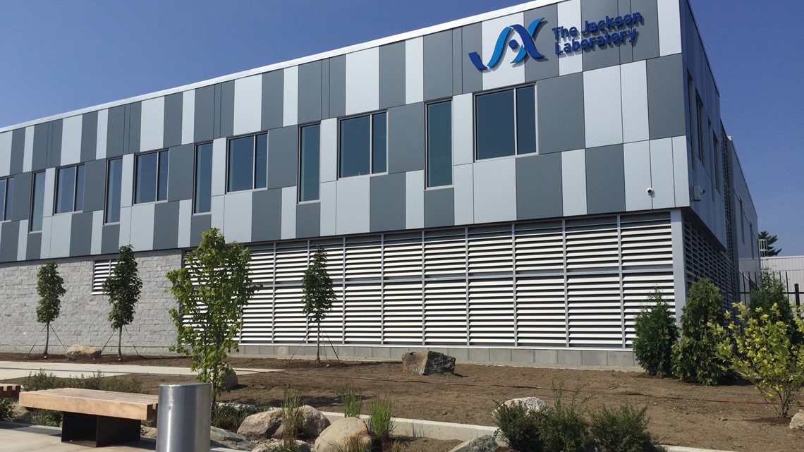 Jackson Lab expansion aims to benefit city of Ellsworth | kens5.com