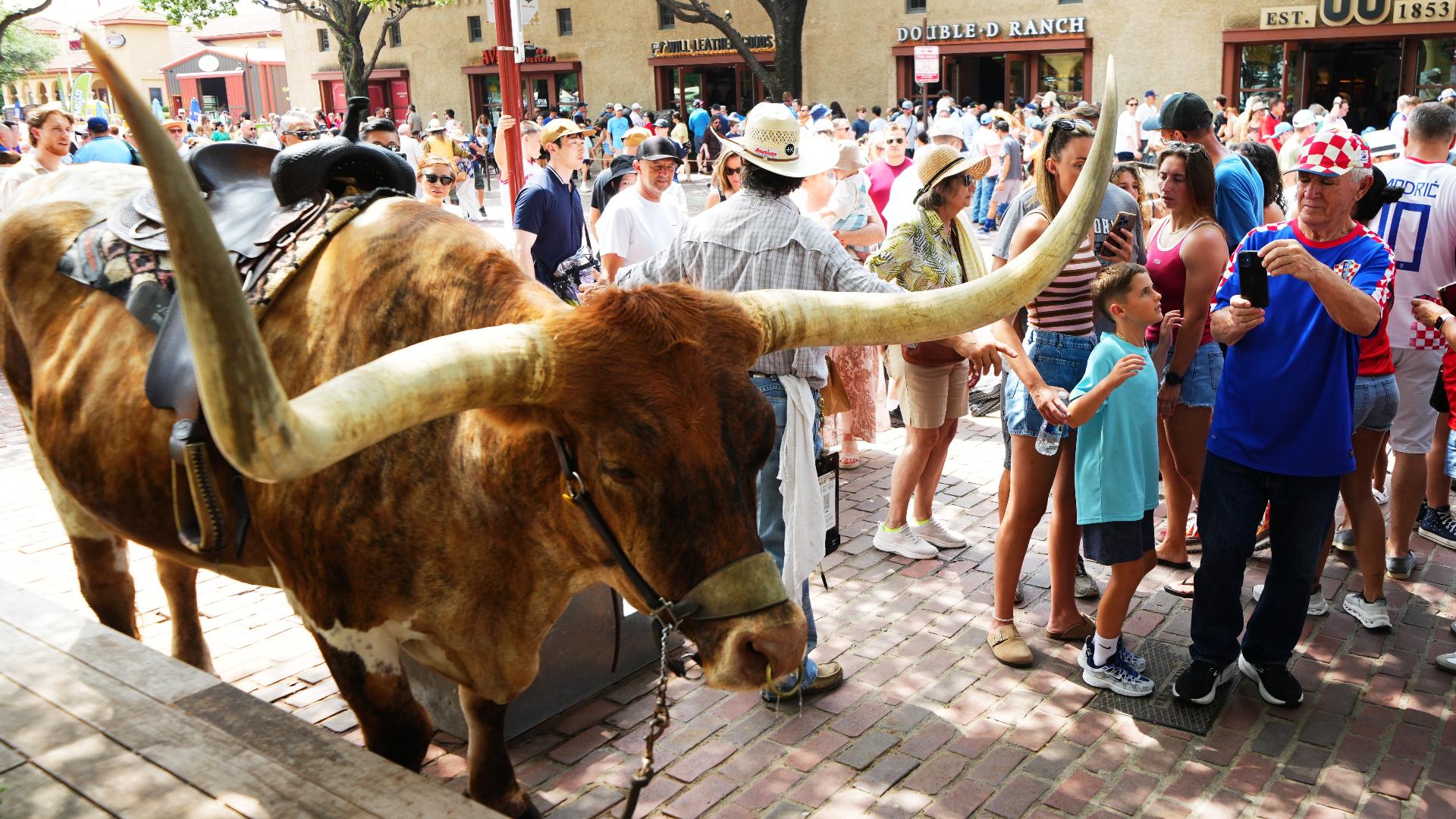 Croatia fans parade through downtown Dallas ahead of World Cup showdown ...