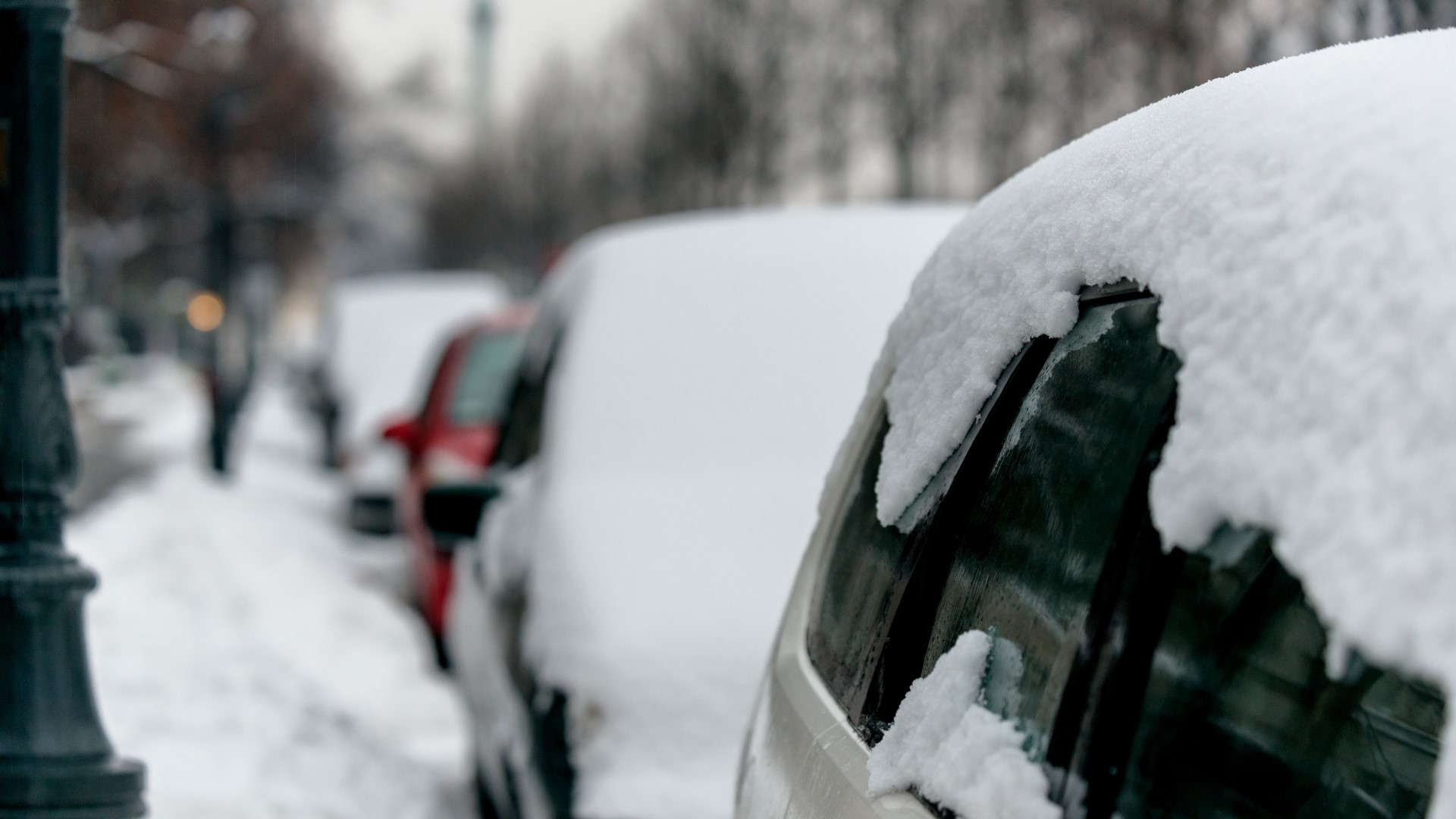 Massachusetts officials place fake tickets on cars to discourage street ...