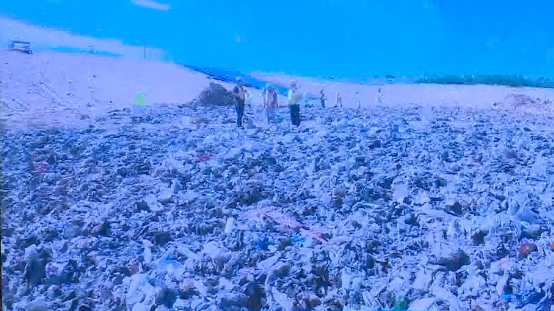 Body of Nevaeh Adams, missing 5-year-old, recovered from landfill ...