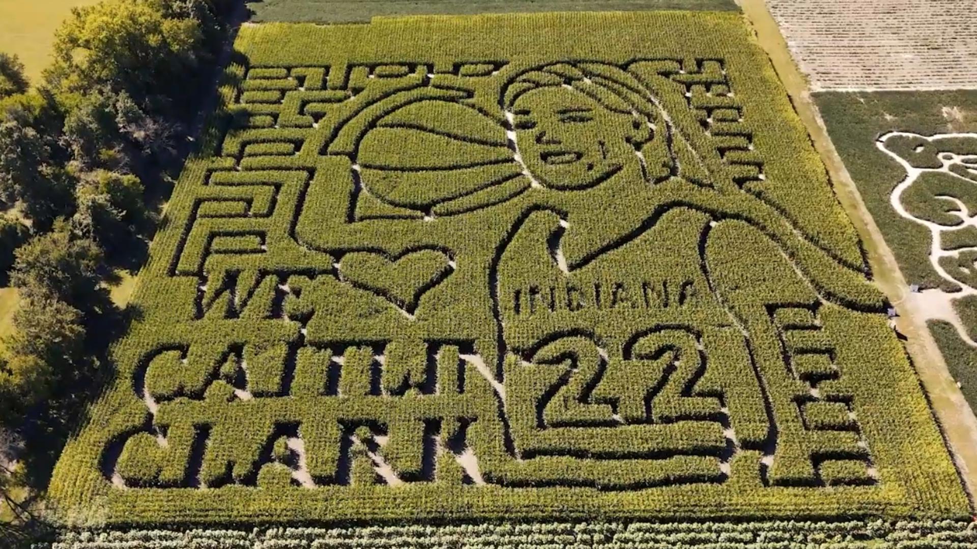 Check out the Caitlin Clark corn maze | kens5.com
