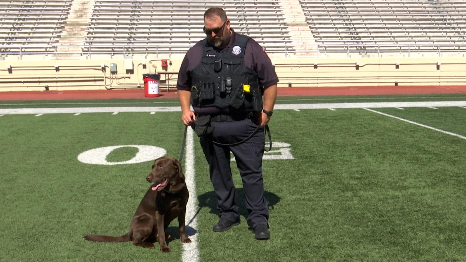 Athletic trainer helps keep IU bomb-sniffing K-9 in top shape | kens5.com