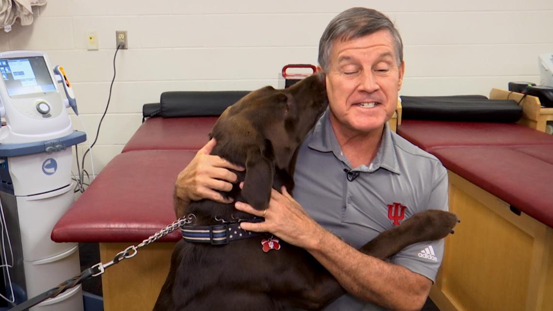 Athletic trainer helps keep IU bomb-sniffing K-9 in top shape | kens5.com